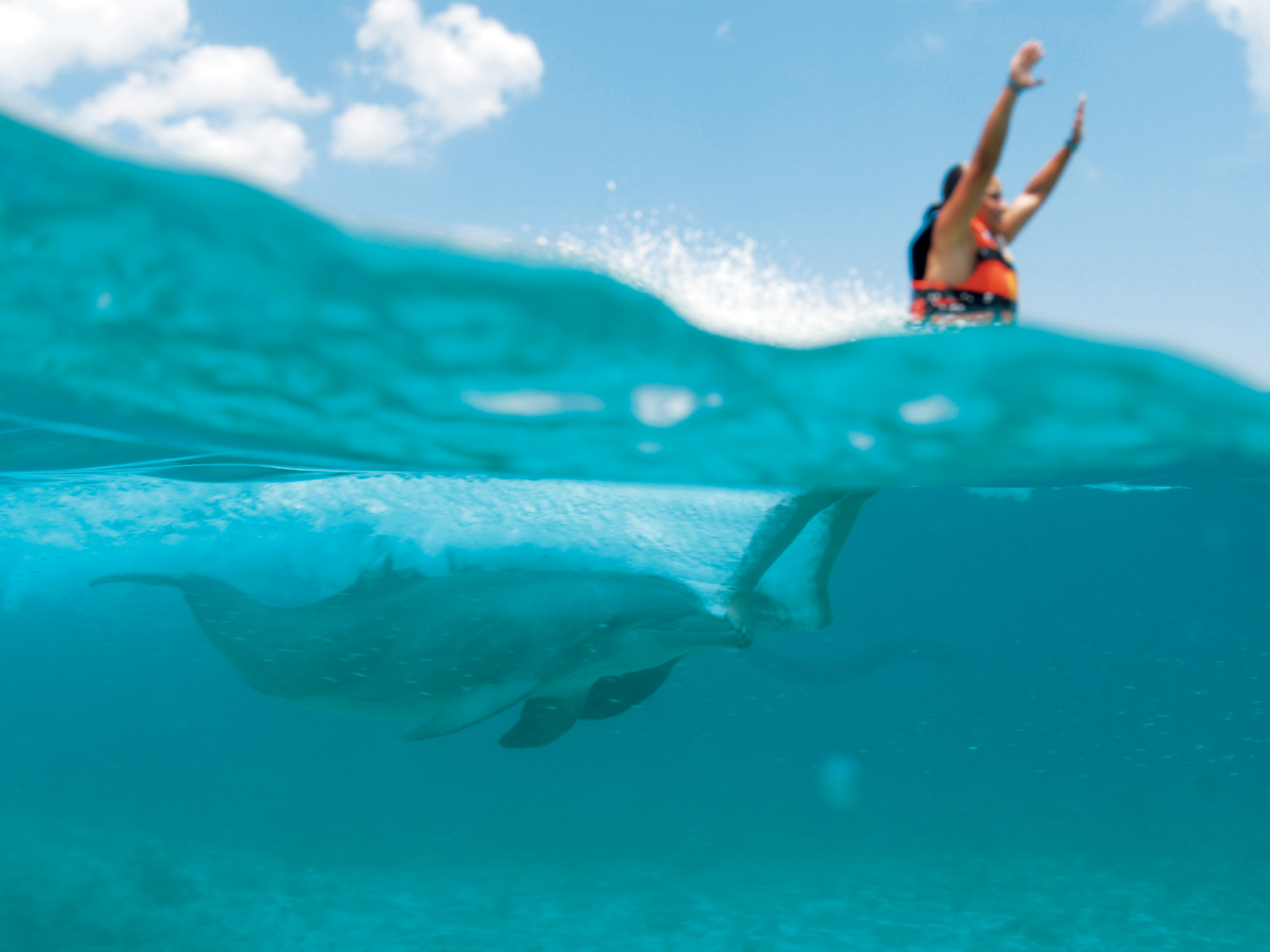 Mexitours – Los Mejores destinos del país al alcance de tus manos